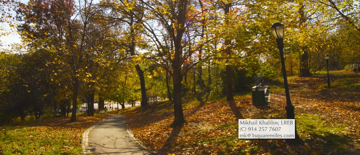 Ewen Park | 3 Square Miles