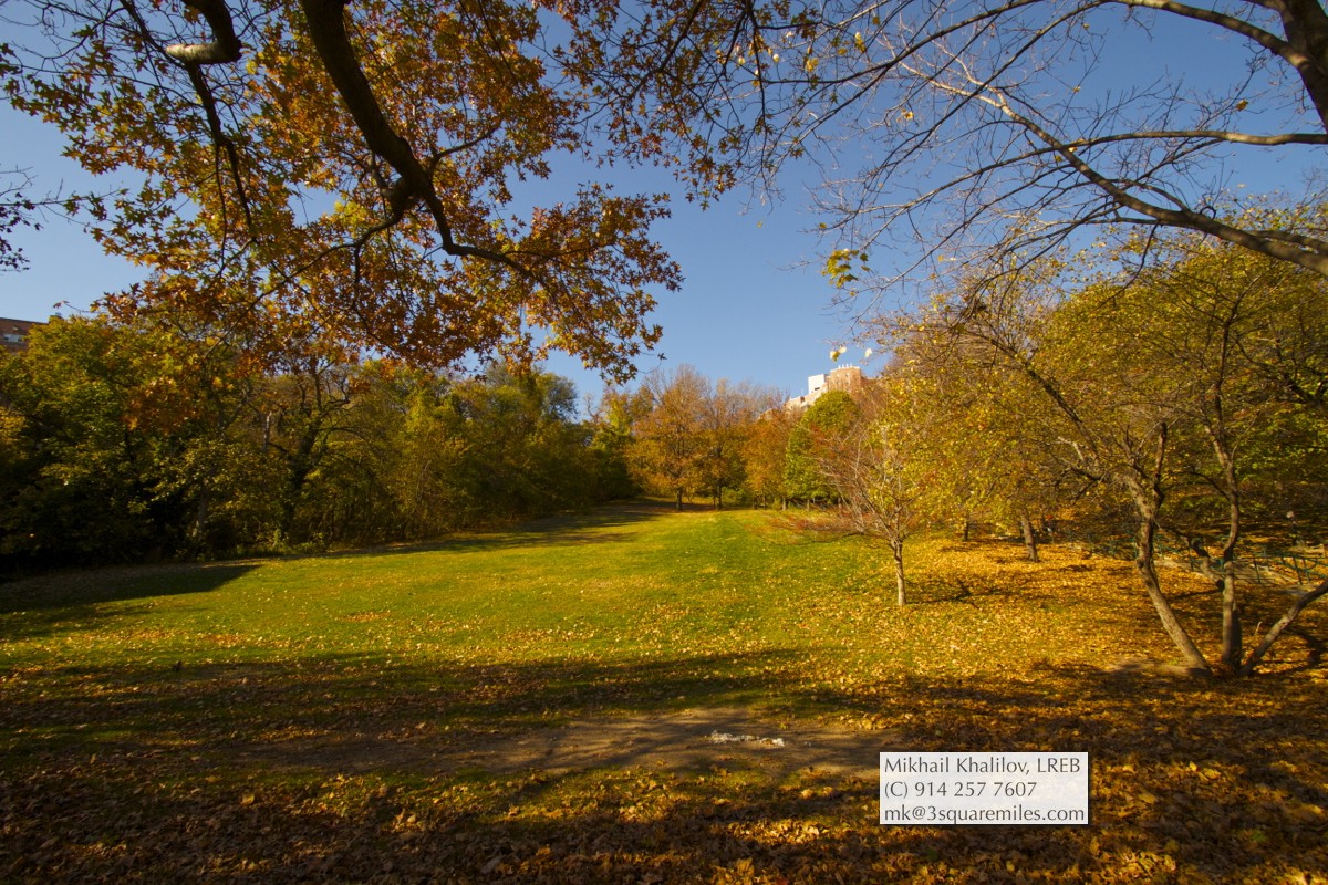 Ewen Park | 3 Square Miles